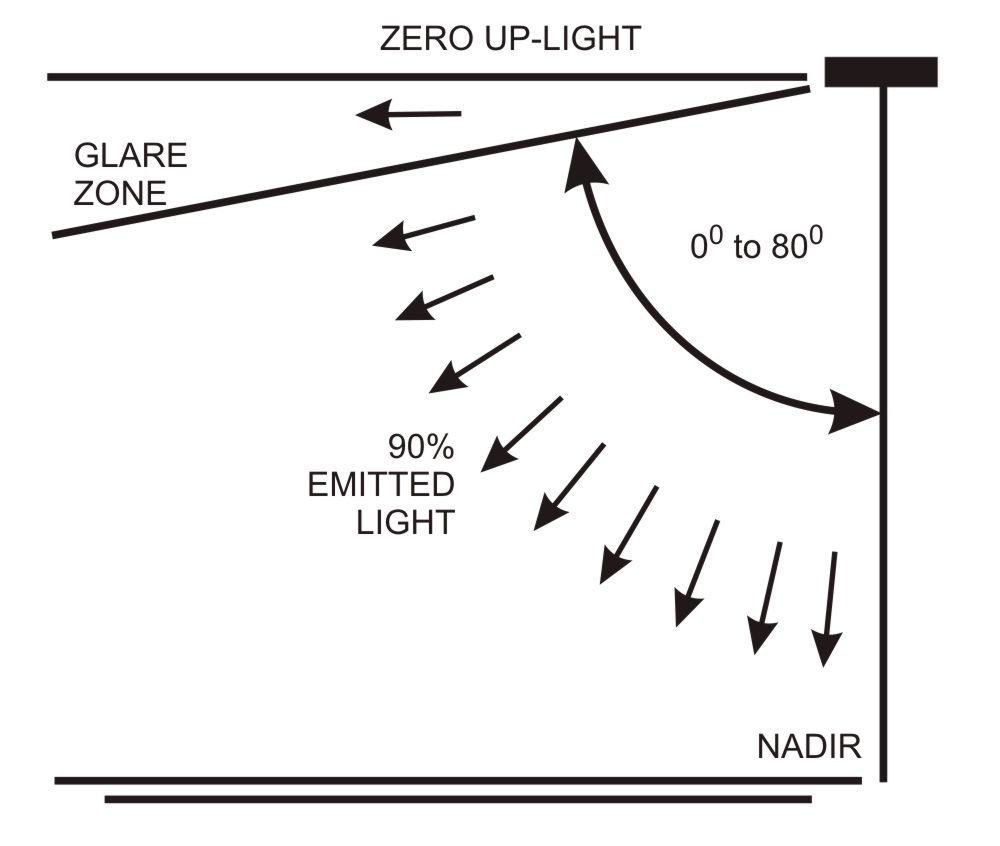 Canadian Scotobiology Group